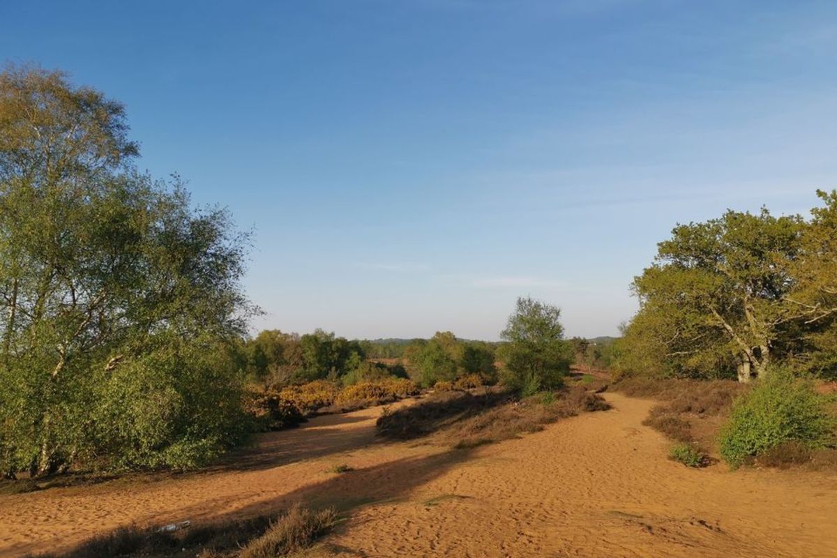 Simply Shoot Locations | Bordon | Hampshire | GU35